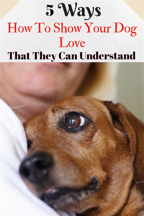 5 Ways How To Show Your Dog Love That They Can Understand Artofit