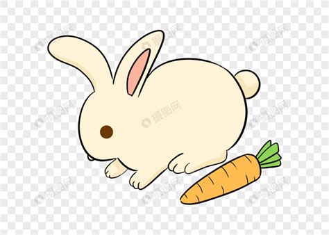 月兔元素素材下载 正版素材401485084 摄图网