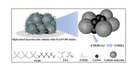 ligand anchoring effect of a paa pvdf cross linked binder promoting