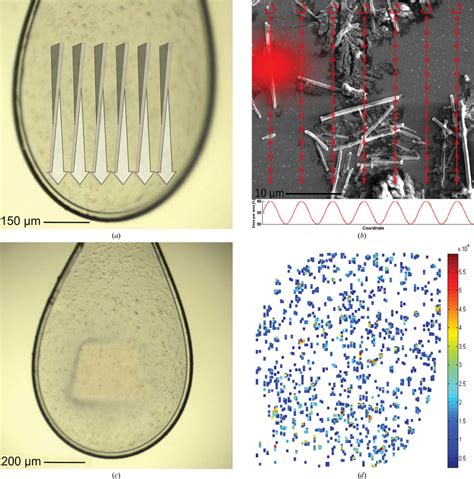 Experimental Setup Of The Serial Synchrotron Crystallography Download Scientific Diagram