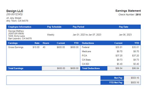 Free Pay Stub Template Preview The Paystub Sample And Download