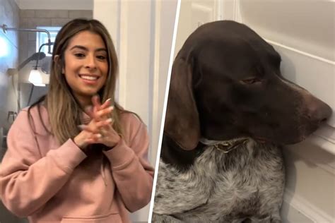 Frau Kann Nicht Glauben Wie Hund Nach Dem Krallenschneiden Drauf Ist