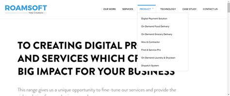 10 top clone script developers for your turnkey business needs