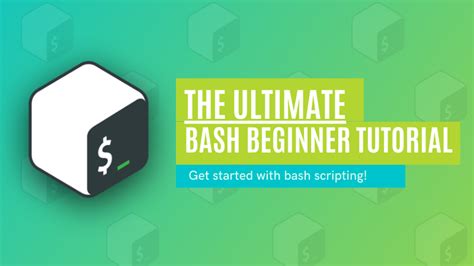 Bash Scripting Tutorial For Beginners