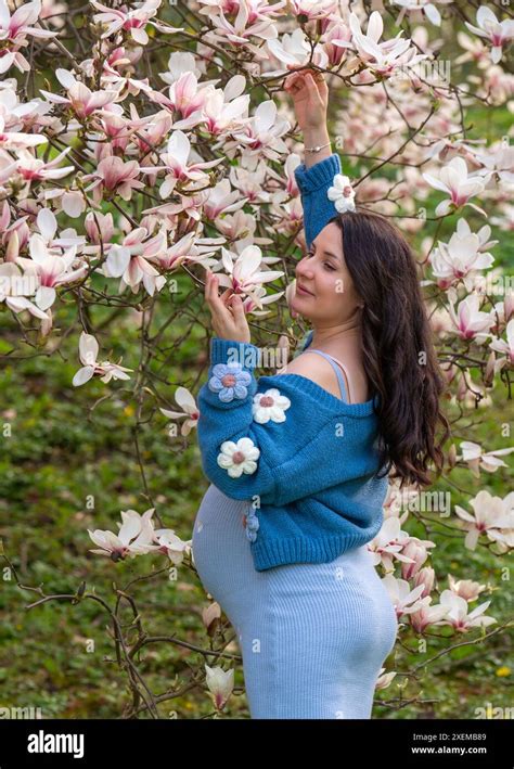 Portrait Of A Cute Pregnant Woman In The Park Dressed In A Blue Dress