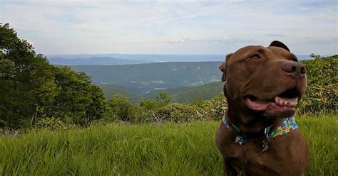 Dolly Sods Wv Album On Imgur
