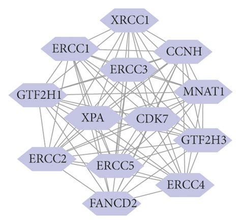 Mcode Clustering Of Cipn Targets In The Protein Protein Interaction Download Scientific Diagram