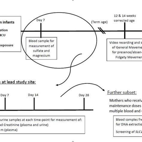 Protocol With Details Of Biological Sample Collection Nicu Neonatal Download Scientific
