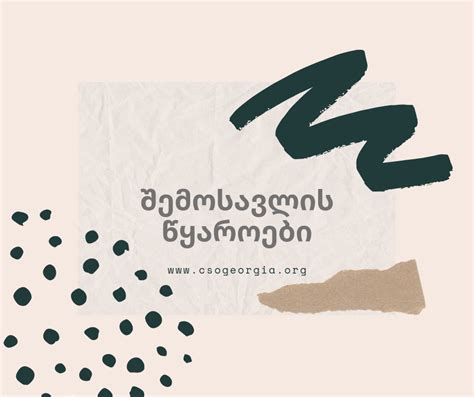 საზოგადოებრივი ორგანიზაციების შემოსავლის წყაროები