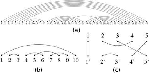 Flattened Diagram Shape Diagram And Corresponding Tangle A The Download Scientific Diagram