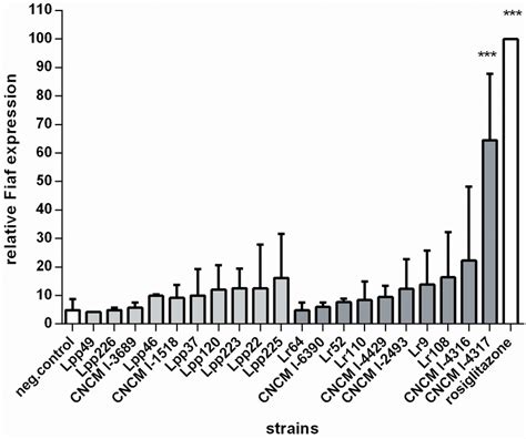 Effect Of L Rhamnosus And L Paracasei On Fiaf Expression In Iecs