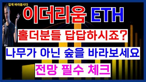 이더리움 홀더분들 답답하시죠 나무가 아닌 숲을 바라보세요 전망 필수 체크 Youtube
