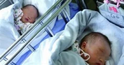 Ch Em S I Con Gi Ng H T Gia Nh Nghi N N X T Nghi M Adn M I Bi T C Ng Cha