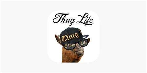 Creative Vector Illustration Of Pixel Glasses Of Thug Life 44 Off