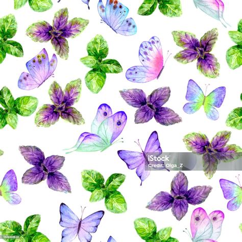 향기로운 주방 요리 허브 향신료 바질 잎과 나비 수채화 원활한 패턴 곤충에 대한 스톡 벡터 아트 및 기타 이미지 곤충