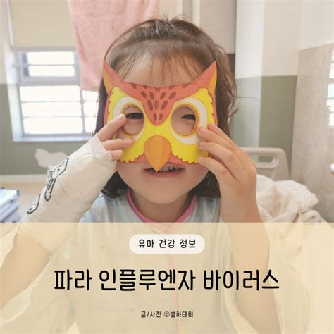 파라 인플루엔자 바이러스 증상 열 기침 폐렴 네이버 블로그