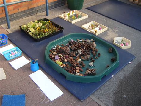 A Collection Of Flowers And Natural Items To Investigate Look Closely At And Maybe Draw Clip