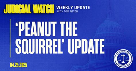 Judicial Watch New York Authorities Planned To Euthanize ‘peanut The Squirrel And ‘fred The