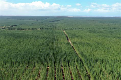 Australias Climate Challenge Decarbonisation Lures Investors To