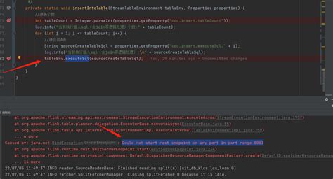 Flink Sql 问题之查询时报错如何解决 阿里云开发者社区