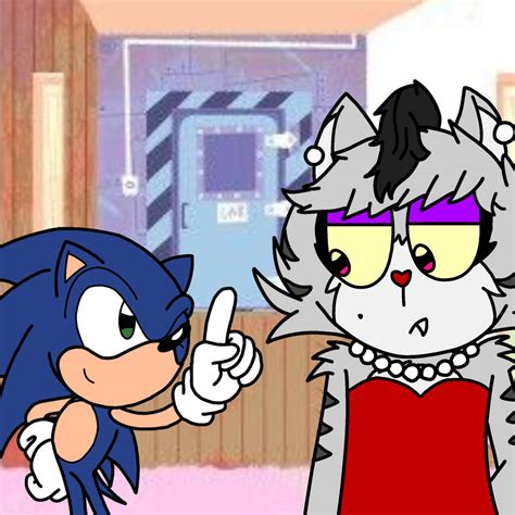 Sonic And Melira By Sarahthesudrianqueen On Deviantart