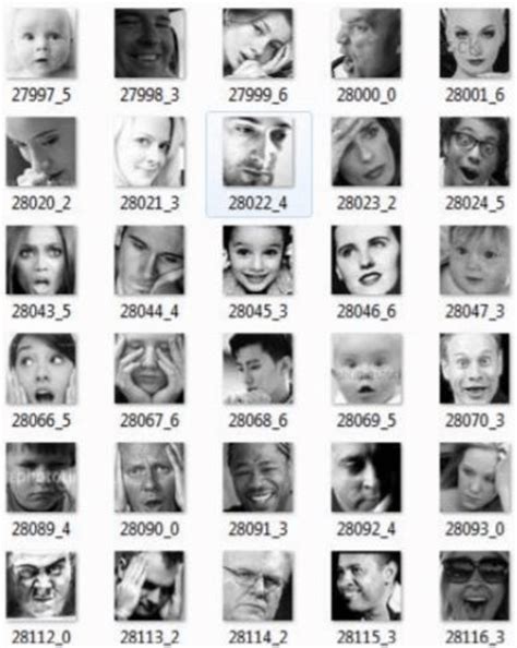 Facial Expression Images In Fer 2013 Data Set As Previously Stated 80 Download Scientific