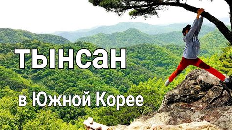 Неизвестные факты о Корее: ТЫНСАН. Я тынсанщица! - YouTube