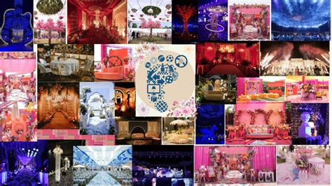 Orchid Celebrations Added A New Photo Orchid Celebrations