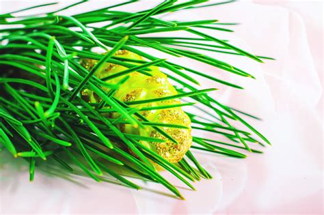 크리스마스와 새 해 장식입니다 인사말 카드 크리스마스 Pinecone 및 전나무 나무입니다 공간에 복사 합니다 12월에 대한