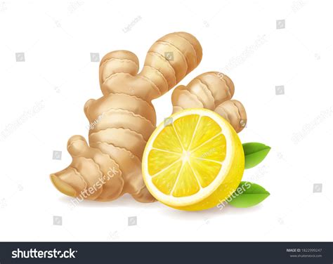 Lemon And Ginger Stock Illustrations Images And Vectors Shutterstock