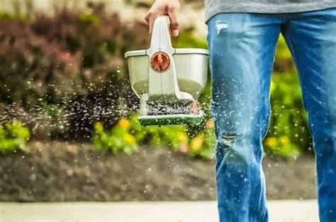 Liquid Weed And Feed Vs Granular Artofit