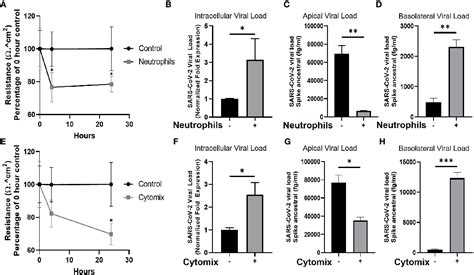Figure 1 From Neutrophilic Inflammation Promotes Sars Cov 2 Infectivity