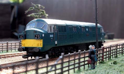 Class 41 North British Warship D600 B Split Headcode Version Only 21