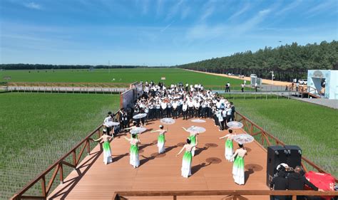 建三江首届糯米节开幕 当天签约5 5亿余元 发展 糯稻 农业