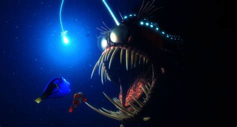 Jenis Ikan Laut Dalam Yang Kalian Harus Tahu