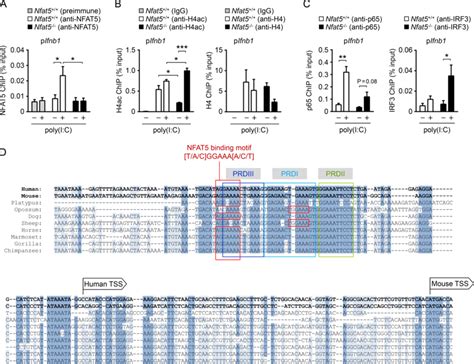 Nfat5 Binds To The Ifnb1 Promoter And Limits Recruitment Of Irf3 A