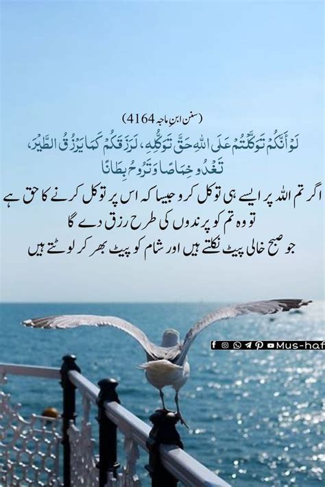 inam ul haq posted on linkedin