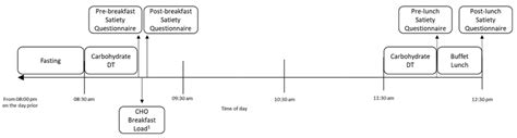 Study Timeline For Sessions 24 Download Scientific Diagram