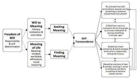My Research On Self Transcendence Has Demonstrated That The Quest For Meaning Is The Main Driver