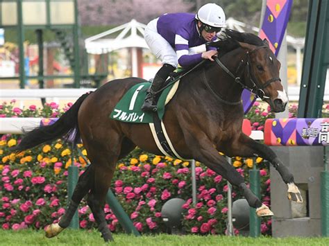 【函館スプリントs予想】人気馬を一刀両断！ 傾向顕著な開幕週で実績上位も 競馬ニュース Netkeiba