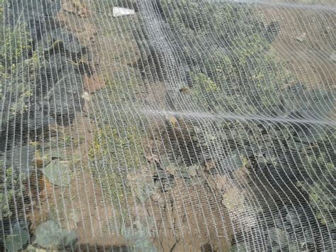 Professional Grade Bee Netting Regulate Pollination Orchard Valley
