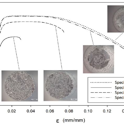 Stress Strain Curves Of The Tested Specimens Download Scientific Diagram