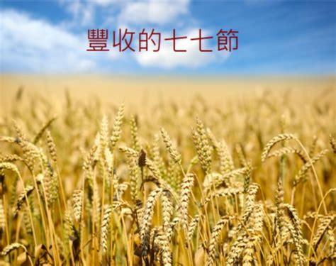 《十天倒數有豐收象徵的七七節五旬節》 選民事工差會