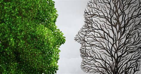 Best Open Source Annotation Tools For Nlp And Ml