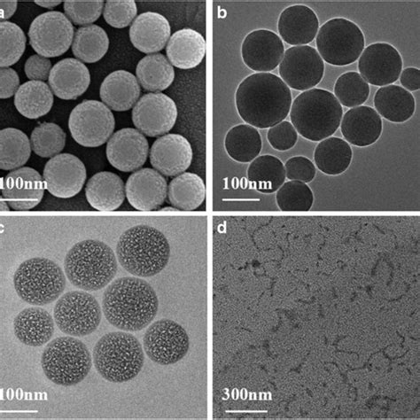 A Sem Image Of Sio2 Microspheres B Tem Image Of Sio2 Microspheres C Download Scientific