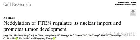 泛素化太老套国自然新热点拟素化neddylation修饰值得关注 知乎