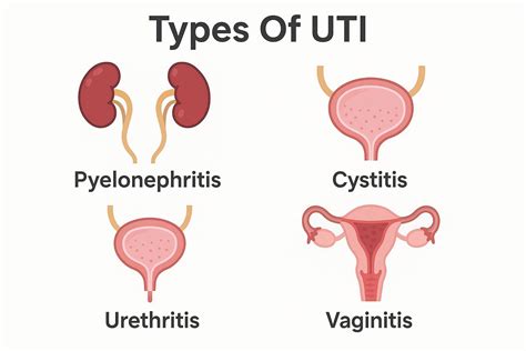 Science Of Medicine Added A New Photo Science Of Medicine