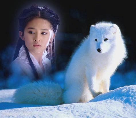 在山海经中狐是祥瑞之兽为何后来沦落为迷惑害人的妖精 百科TA说