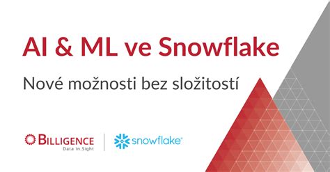 Ai And Ml Ve Snowflake Nové Možnosti Bez Složitostí Billigence