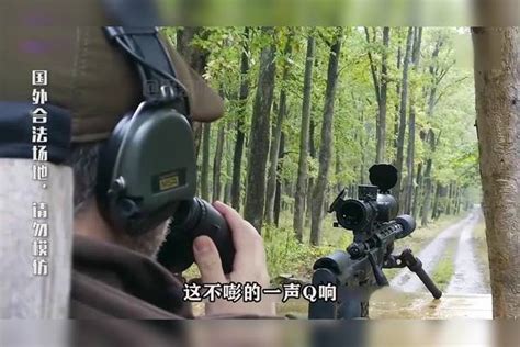 猎人狩猎到780斤重的野猪，枪法之神准，野猪临死都不知道咋回事野猪枪法不知道